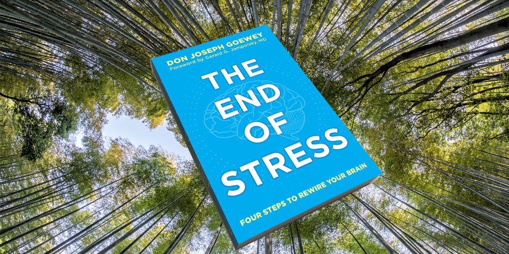 Book review: 'End of Stress' by Don Joseph Goewey